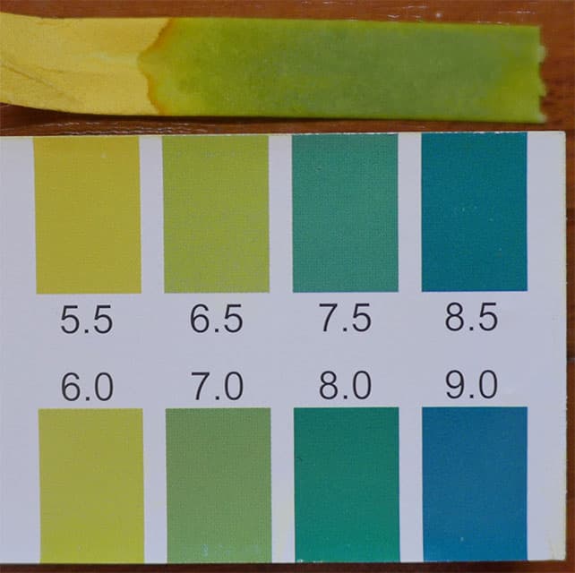 Fitness After 40 Section 2 - Nutrition - Genesis Gym